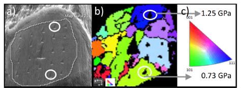 A Sem Micrograph Of Particle After Indentation Showing Mapped Region Download Scientific