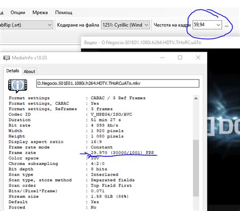 Crazy Framerates · Issue 2865 · Subtitleeditsubtitleedit · Github