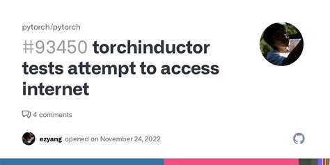 Torchinductor Tests Attempt To Access Internet · Issue 93450 · Pytorch