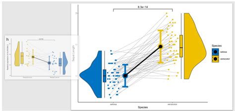 R实战 对称云雨图 箱线图 配对散点 误差棒图 均值连线 阿里云开发者社区