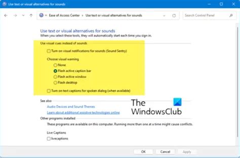 Flash Screen During Audio Notifications In Windows 11