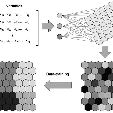 conceptual structure of pattern recognition using self organizing map