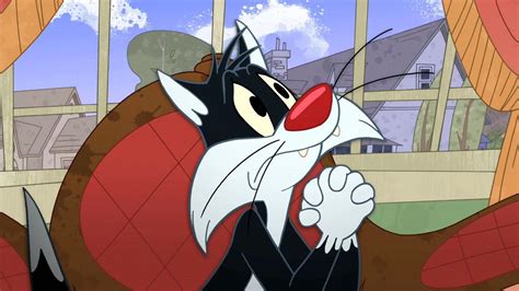 Looney Tunes Show Sylvester