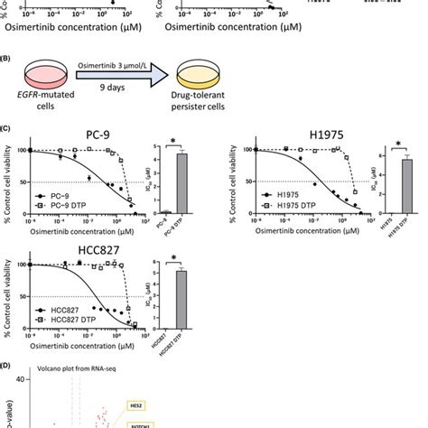 The Combination Of Osimertinib And Gsi Produces Strong Synergistic Download Scientific Diagram