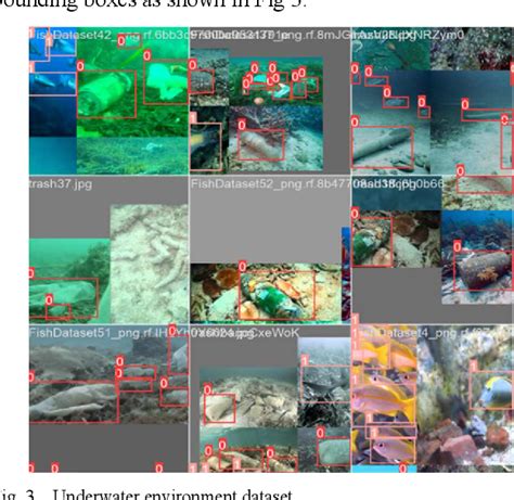 figure 1 from octacleaner underwater trash detection through yolo