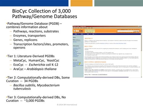 Ppt Metabolomics Applications Of The Biocyc Databases And Pathway Tools Software Powerpoint