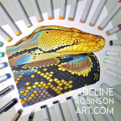 Reticulated Python Malayopython Reticulatus Adeline Robinson Art