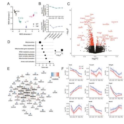 Transcriptomic Effects Of Setd1a Loss Of Function Determined By Rna Download Scientific Diagram