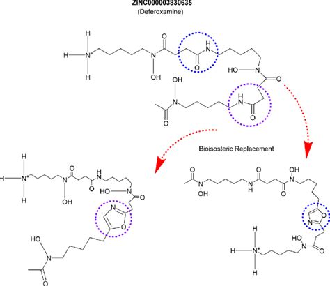 Bioisosteric Replacement Of Zinc000003830635 Deferoxamine Download
