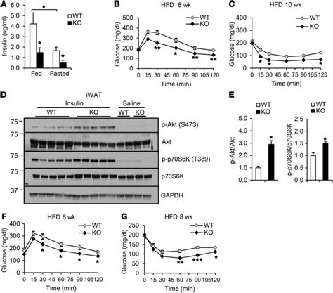 Irf3 Promotes Adipose Inflammation And Insulin Resistance And Represses
