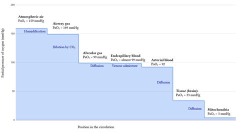 Emcrit Wee The Physiology Of Oxygenation With Alex Of Deranged Physiology