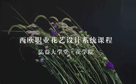 沉迷于花的世界不能自拔