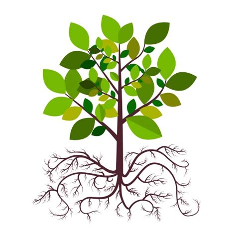 Tree And Roots Forming The Face Of A Woman Vector Image