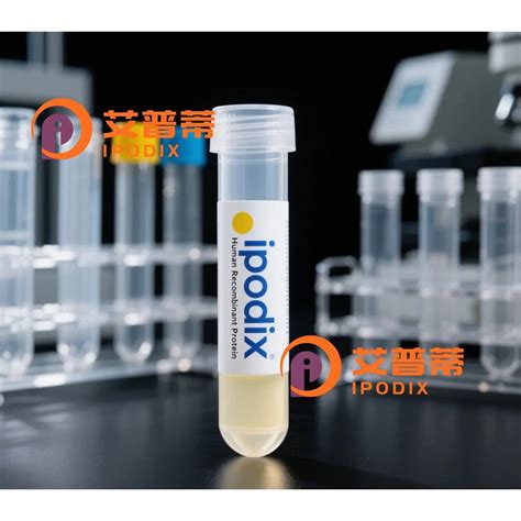 H1 3抗体h1 3 Antibody—艾普蒂 Chemicalbook