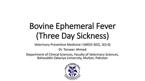 Solution Bovine Ephemeral Fever Disease Studypool