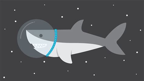 Information Technology Year 5 Computing Bbc Bitesize