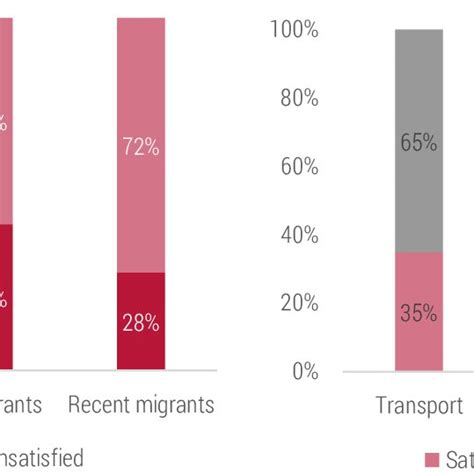 Surveyed Platform Workers According To Nationality Download