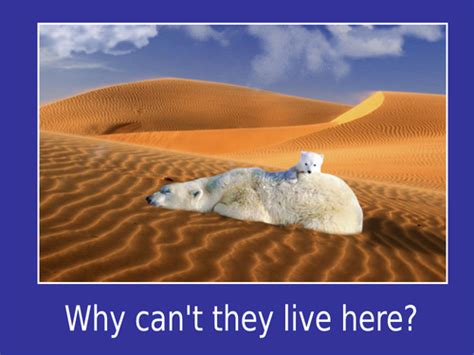 Classification A Complete Set Of Resources For Year 7 Teaching Resources