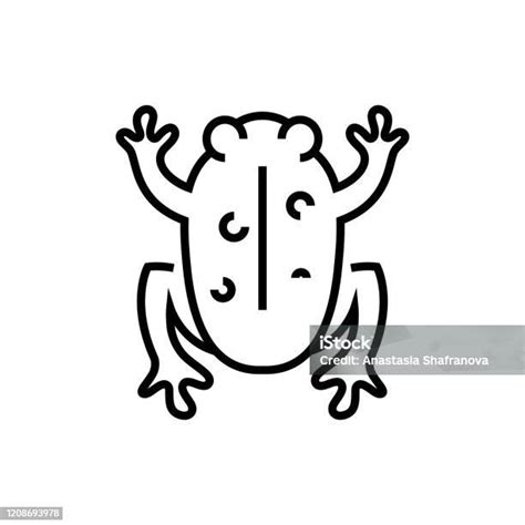 개구리 실험 선 아이콘 개념 기호 윤곽선 벡터 그림 선형 기호 개구리에 대한 스톡 벡터 아트 및 기타 이미지 개구리 건강 진단 건강관리와 의술 Istock