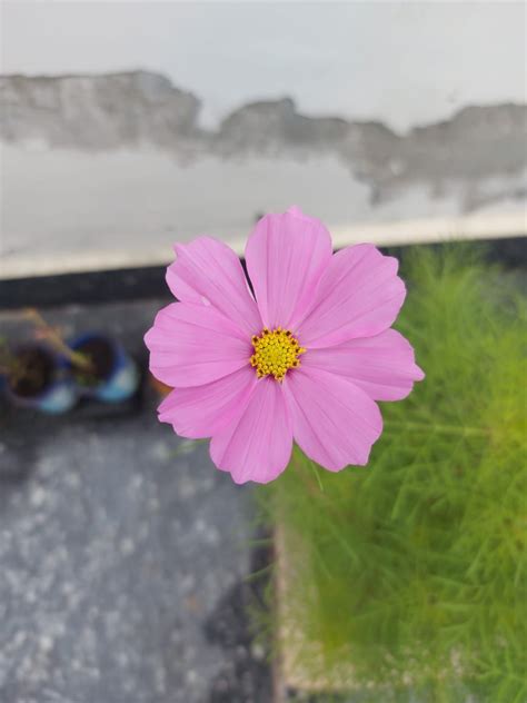 Saloni Gehlot On Linkedin The Most Required Skill To Learn In Todays