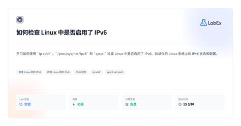 如何检查 Linux 中是否启用了 Ipv6 Labex