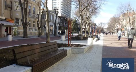 Кои са основните видове дървета в центъра и кварталите на Варна Варна