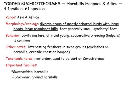 Ppt This Module Covers The Following Four Orders • Apodiformes