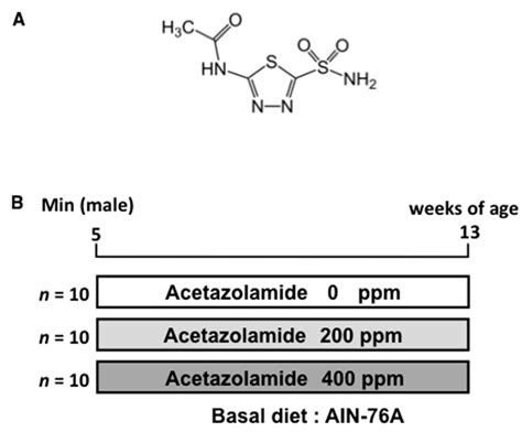 Acetazolamide Structure