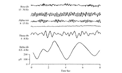 Opencv和dlib构建的实时疲劳驾驶检测系统设计 Csdn博客