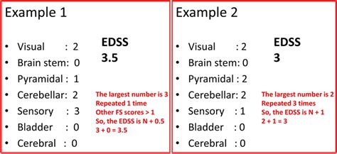 Examples Of Interpretation Of The 7 Fs To Get The Final Function Score Download Scientific