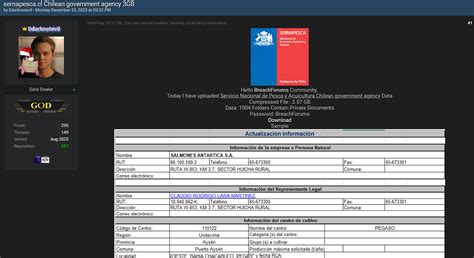Resecurity Cybercriminals Launched Leaksmas Event In The Dark Web Exposing Massive Volumes