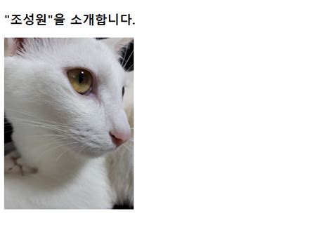 5분 만에 만드는 자기소개 페이지 Htmlcss 1 5분 만에 만드는 자기소개 페이지 Htmlcss 1