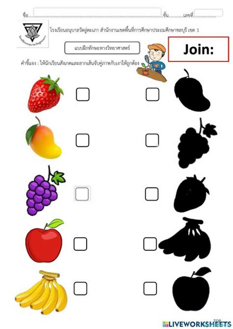 โยงเส้นผลไม้ต่างๆ ใบงานเชิงโต้ตอบ Topworksheets
