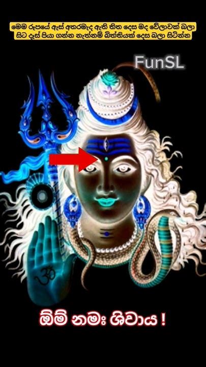 මෙම රූපයේ ඇස් අතරමැද ඇති තිත දෙස මද වේලාවක් බලා සිට දෑස් පියා ගන්න Magic Music Shorts Youtube