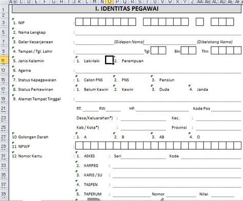 Entry Data And Pembuatan Form Msexcel 24 Jam Kelar