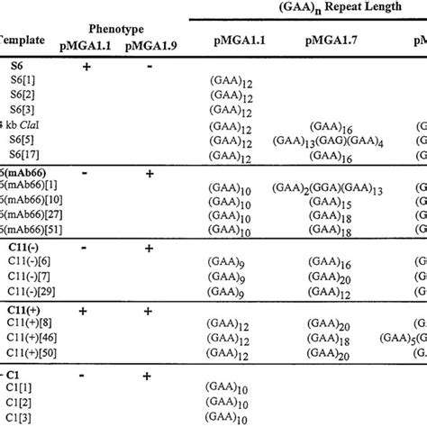 Relationship Between Gaa Repeat Length And Pmga Phenotype Download Scientific Diagram