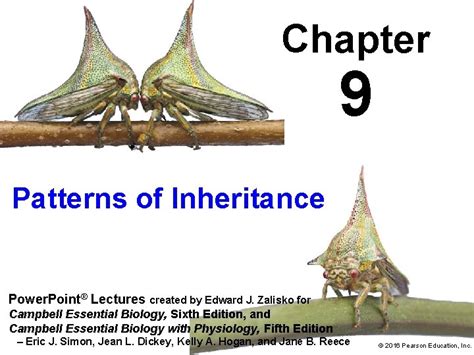 Chapter 9 Patterns Of Inheritance Power Point Lectures