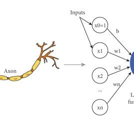 A Biological Nerve Cell Structure And B Artificial Neuron Structure Download Scientific