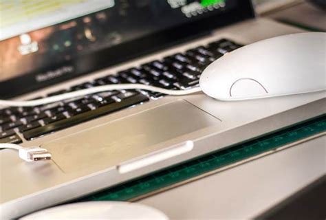 Methods To Solve Mouse Scroll Wheel Not Working In Windows And MAC