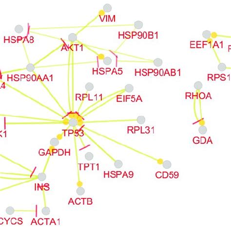 Activation Map Of 116 Nodes Of Network Related To Skin Of Female Nude