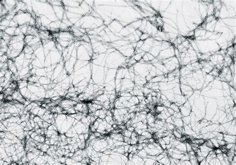 This Protein Keeps Bacteria From Building Biofilm Defenses Futurity