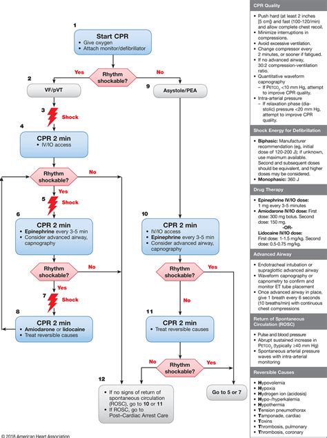2018 American Heart Association Focused Update On Advanced