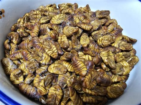 번데기 탕 번데기 볶음 번데기 요리 다이어트식