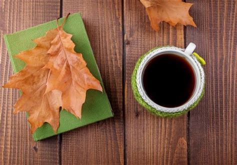 برگزاری 62 کارگاه ادبی برای دانش آموزان طرح آموزش 1 میلیون نویسنده نوجوان کلید خورد تسنیم