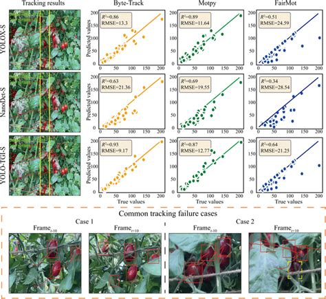 Toward Real Scenery A Lightweight Tomato Growth Inspection Algorithm