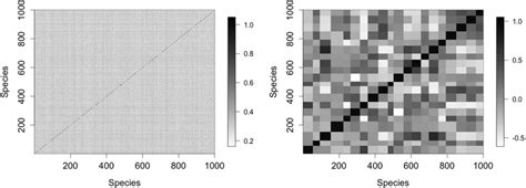Covariance Structures Download Scientific Diagram Covariance Structures Download Scientific Diagram