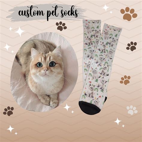 Ragdoll Cat Socksfunny Cat Socksragdoll Cat Mom Birthday Tpet