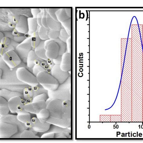 A Mapping In The Fe Sem Image And B Histogram Of Particlegrain Size