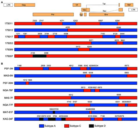 Recombination Analysis Of Protocol C And Recent Infections The