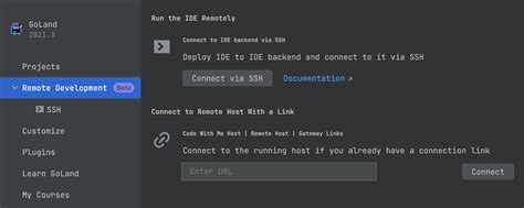 GoLand Goes Beta The GoLand Blog